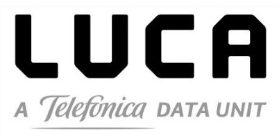 LUCA positioned as a Leader among Specialized Insights Service Providers