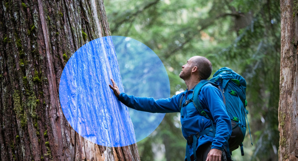 2021 ECC Awards: The best energy and climate change projects at ...