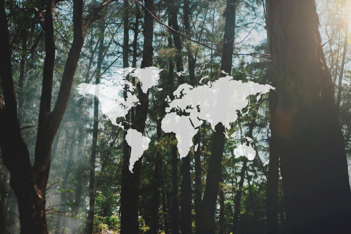 Green transition: what is it and what are its objectives? - Telefónica