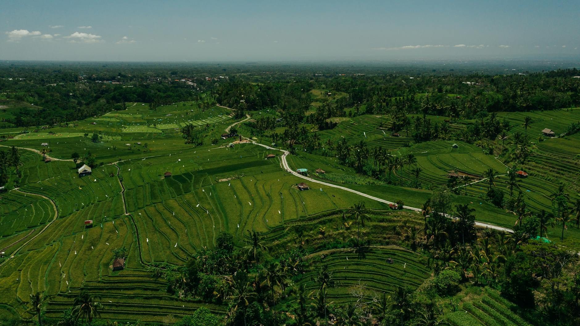 Global warming and the greenhouse effect: what is the difference?