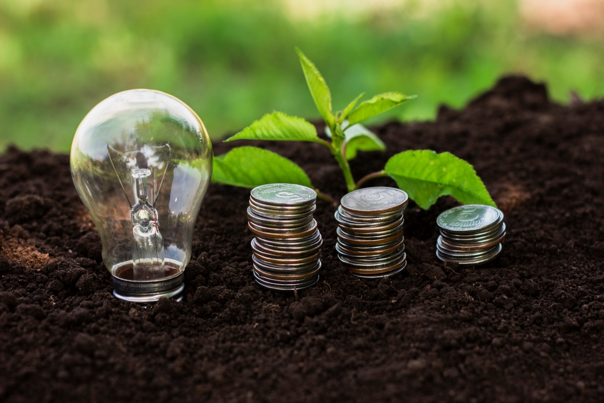 Green financing as a tool to boost sustainability - Telefónica