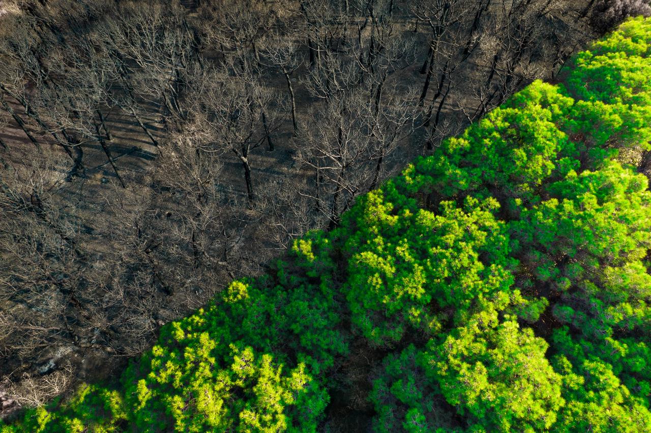 How Does Technology Affect The Environment Telefónica 4483