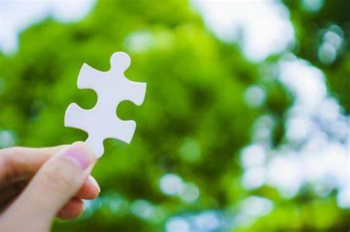 Green transition: what is it and what are its objectives? - Telefónica