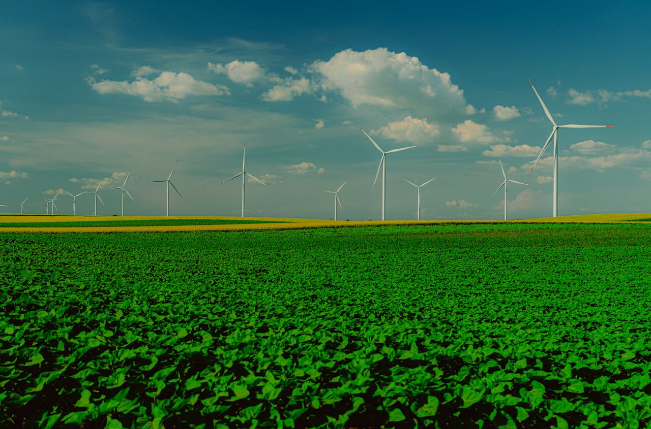 Relationship between carbon footprint and decarbonisation - Telefónica