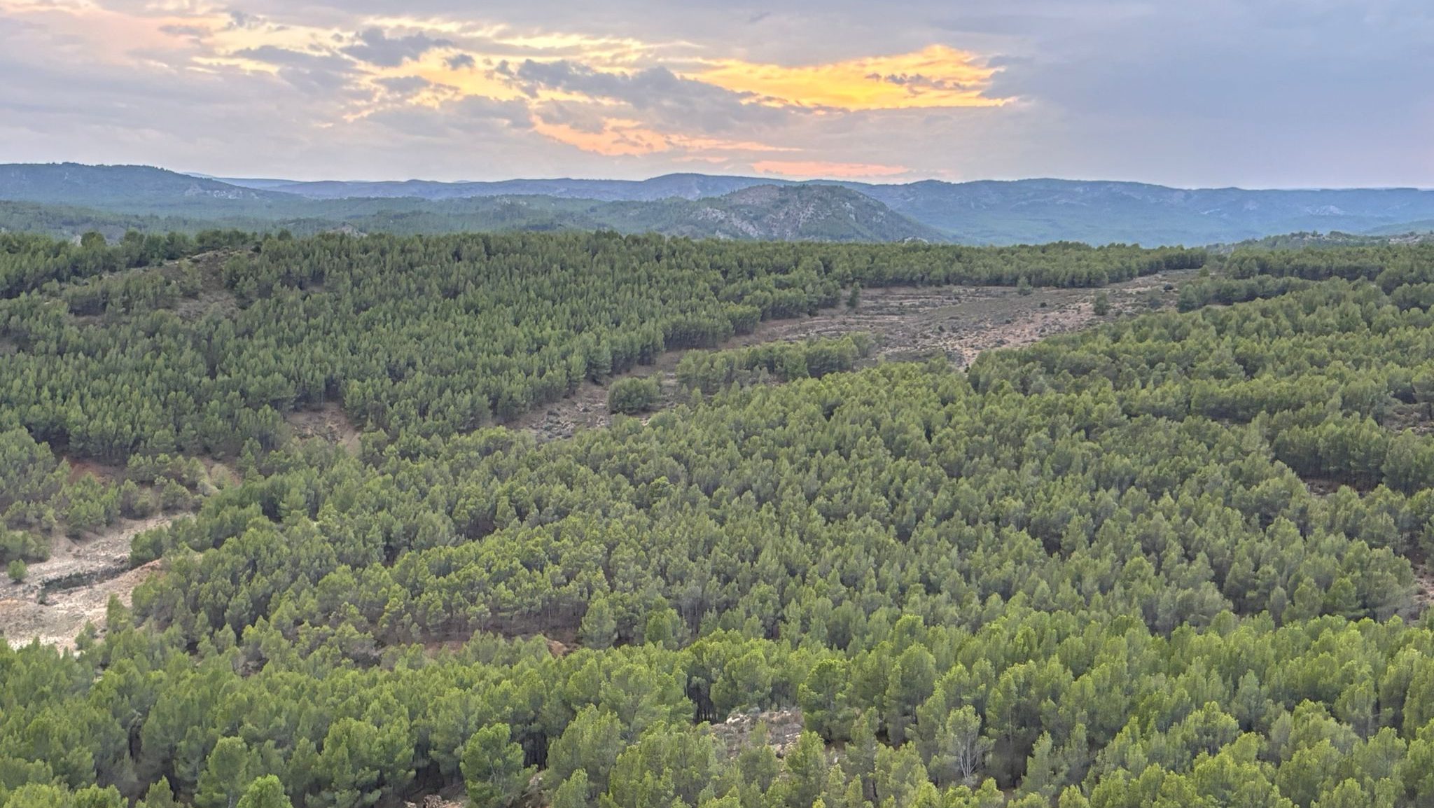 Firefighters 4.0 to combat sixth-generation forest fires - Telefónica