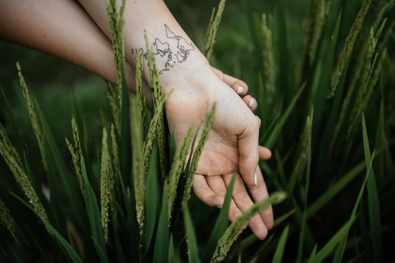 Pillars of sustainable development - Telefónica