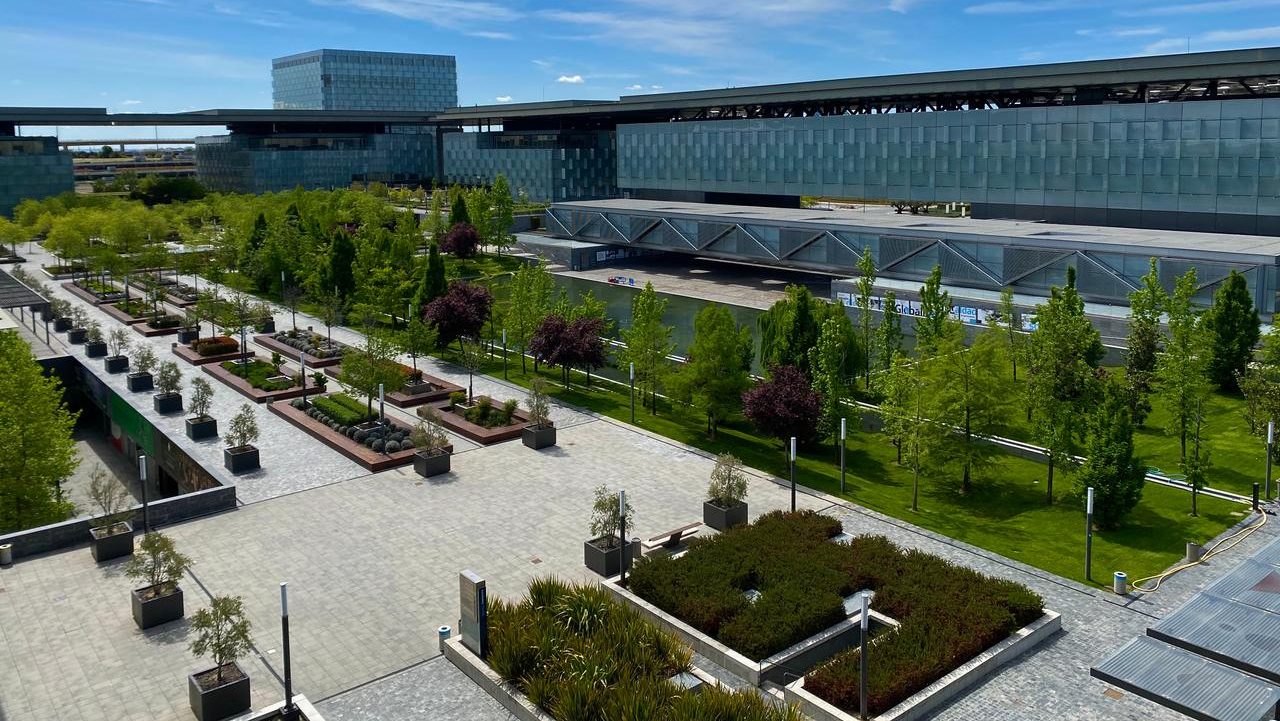 Biodiversidad en Distrito Telefónica: paseo por la Plaza Norte - Telefónica